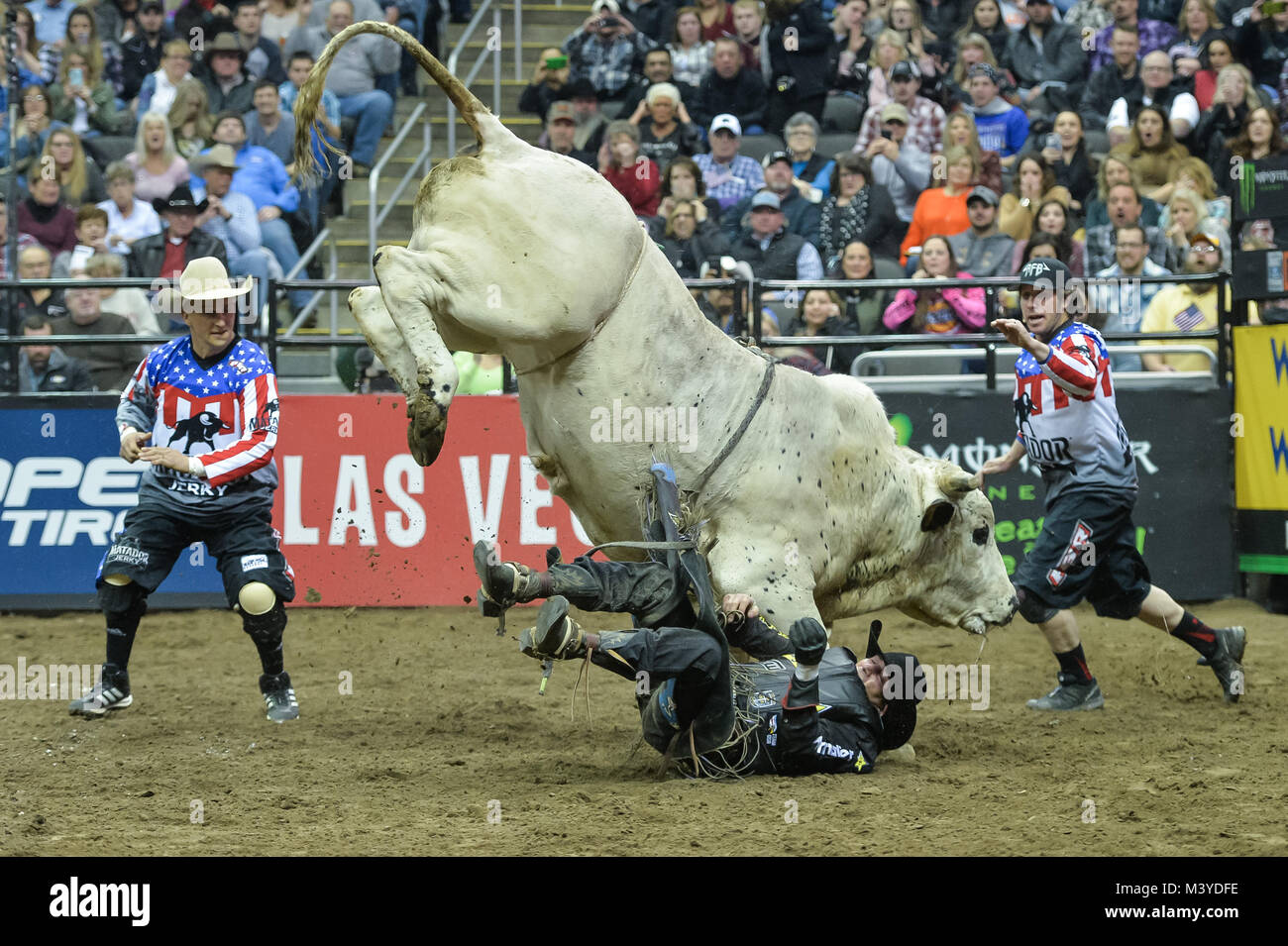Kansas City, Missouri, USA. 10th Feb, 2018. STORMY WING rides a bull ...
