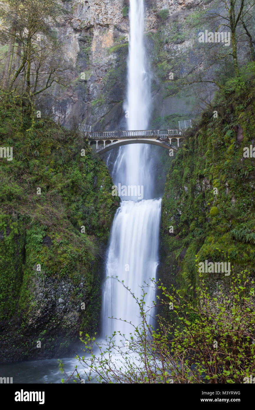 Multnomah Falls in springtime flowing under a historic walk bridge to ...