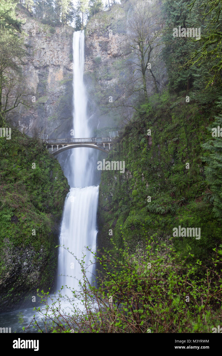 Multnomah falls hi-res stock photography and images - Alamy