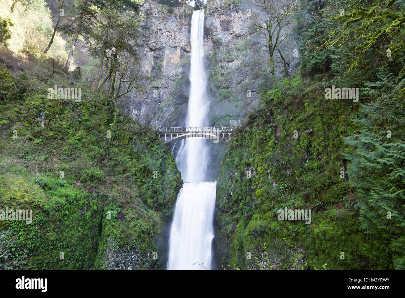 Multnomah Falls in springtime flowing under a historic walk bridge to ...