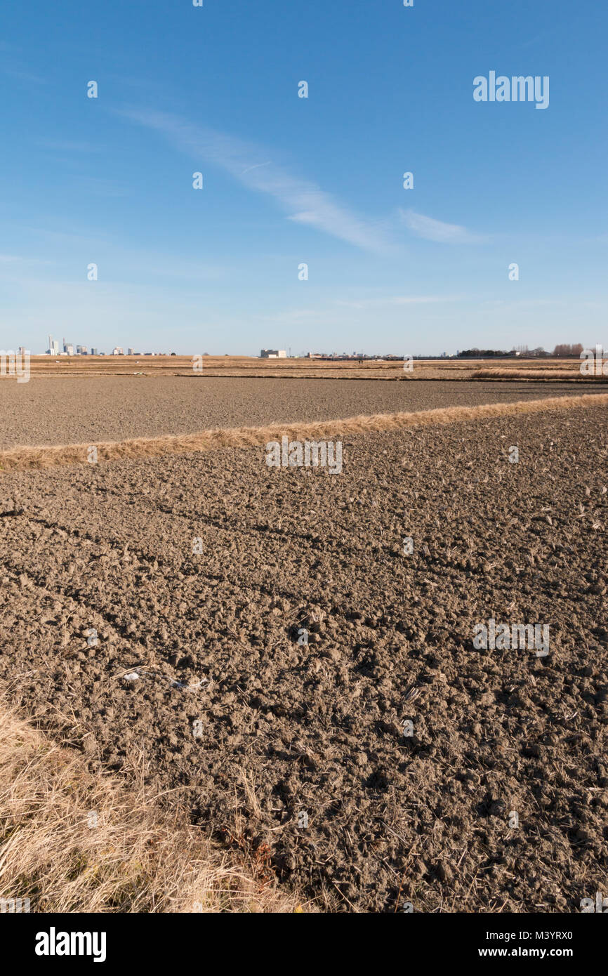 Snow plum blossom blossom hi-res stock photography and images - Alamy