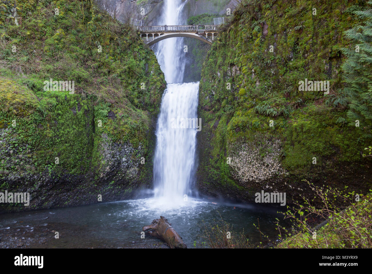 Multnomah Falls in springtime flowing under a historic walk bridge to ...