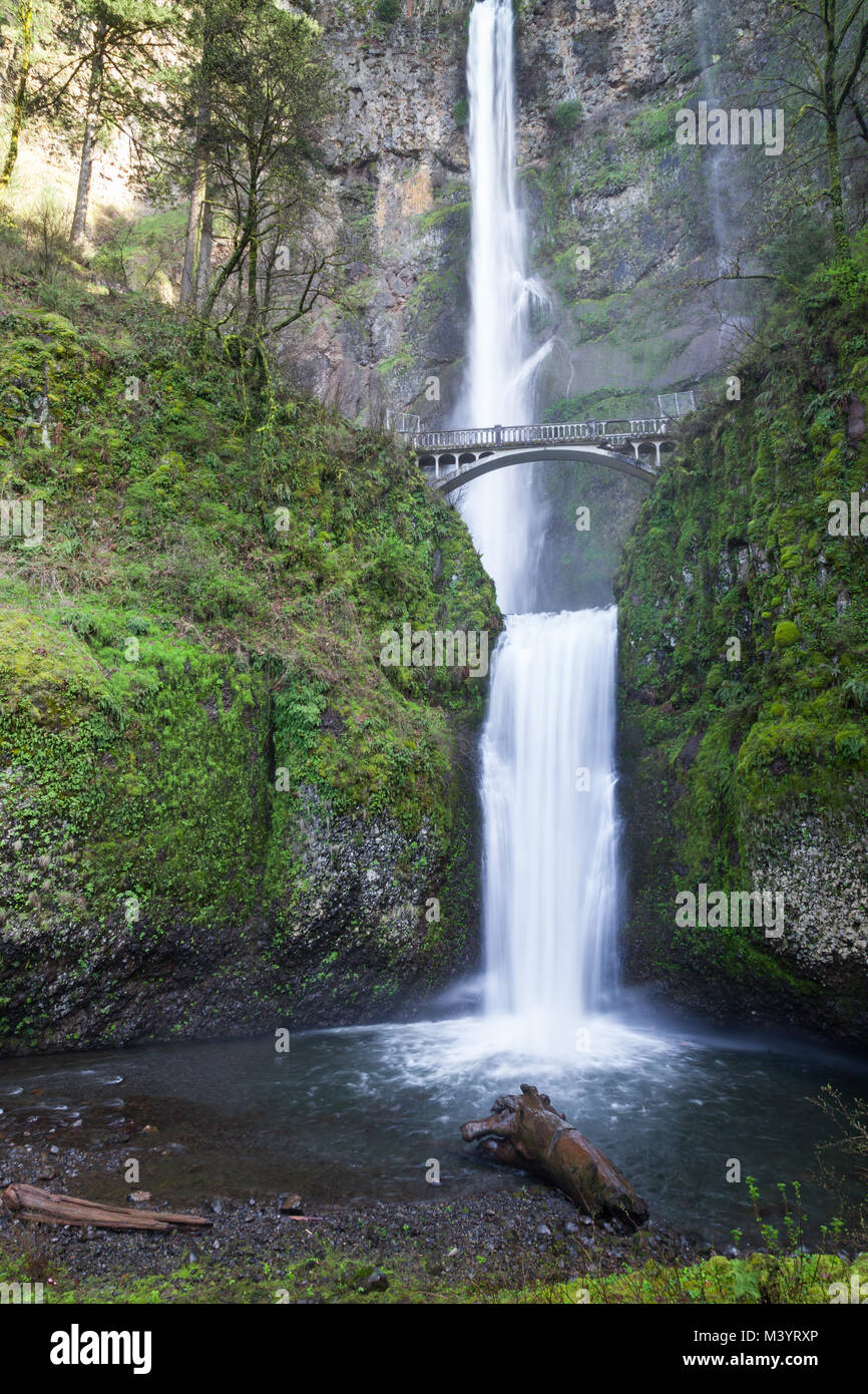 Multnomah Falls in springtime flowing under a historic walk bridge to ...