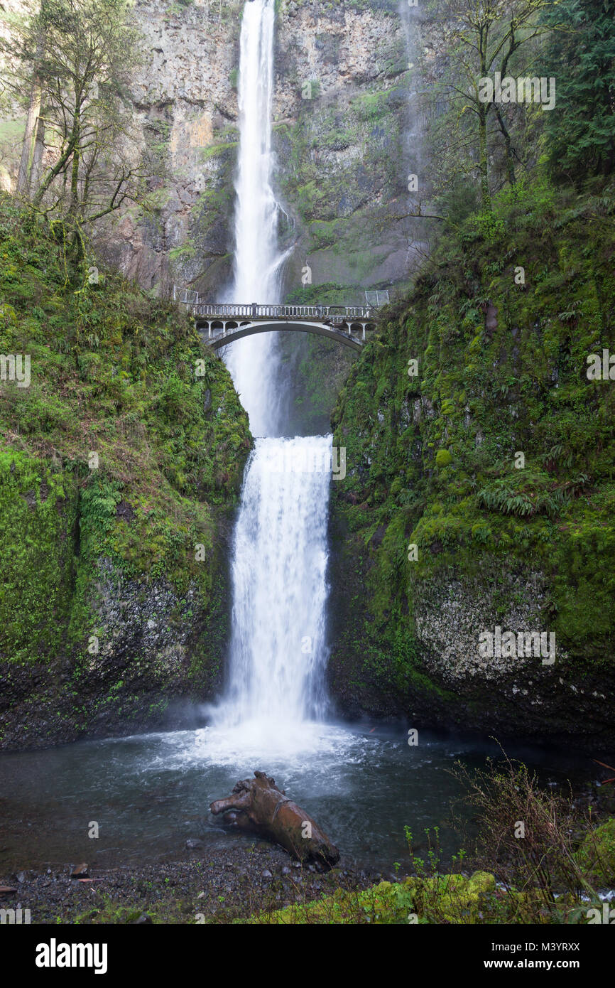Multnomah Falls in springtime flowing under a historic walk bridge to ...