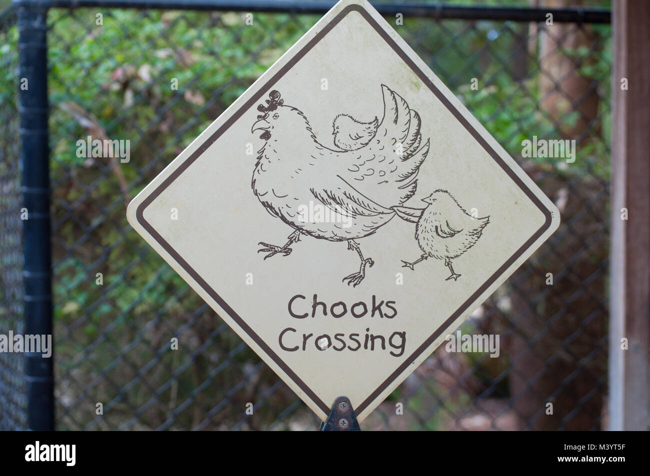 Chooks Crossing Sign Stock Photo - Alamy