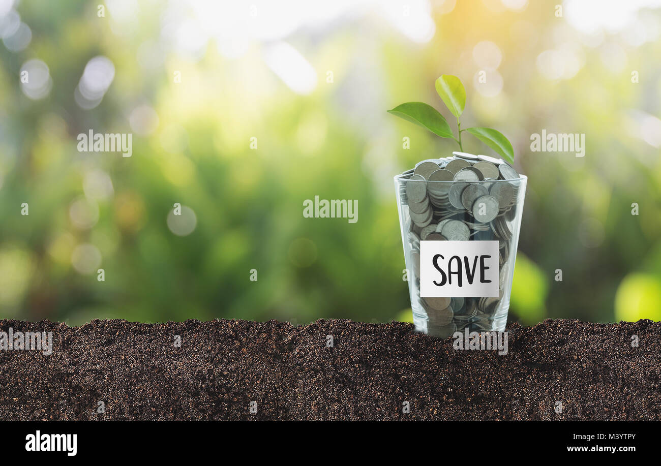 Garden plan diagram hi-res stock photography and images - Alamy