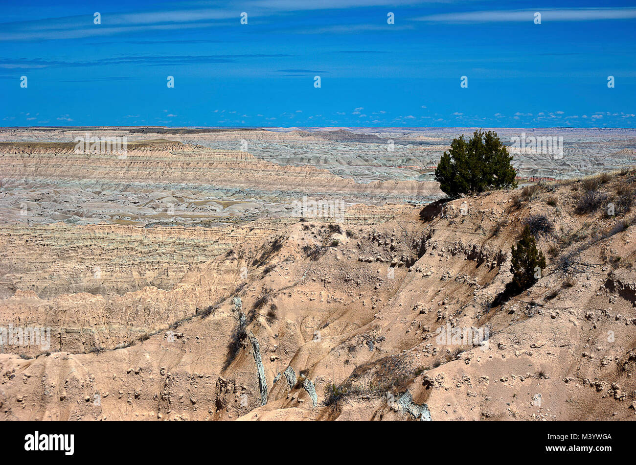 Redshirt hi-res stock photography and images - Alamy