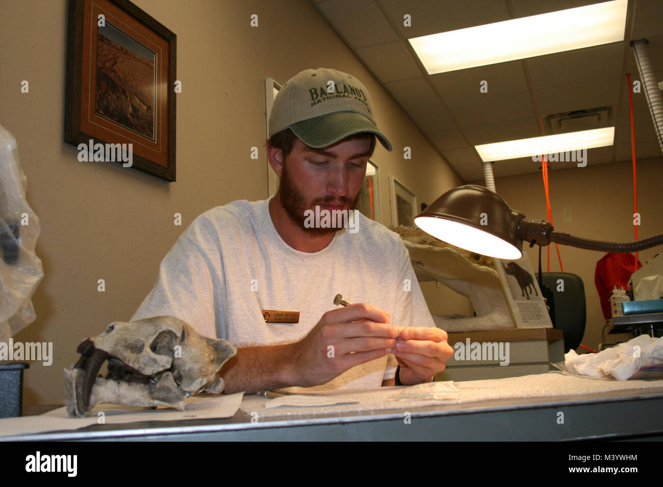 Fossil Prep Lab. A fossil preparator uses a small dental pick to clean ...