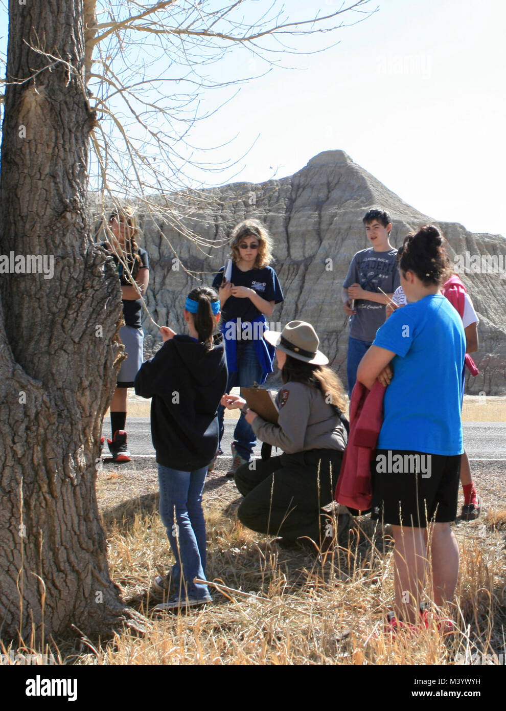 Students Take a Close Look at a Cottonwood Tree with Stock Photo - Alamy