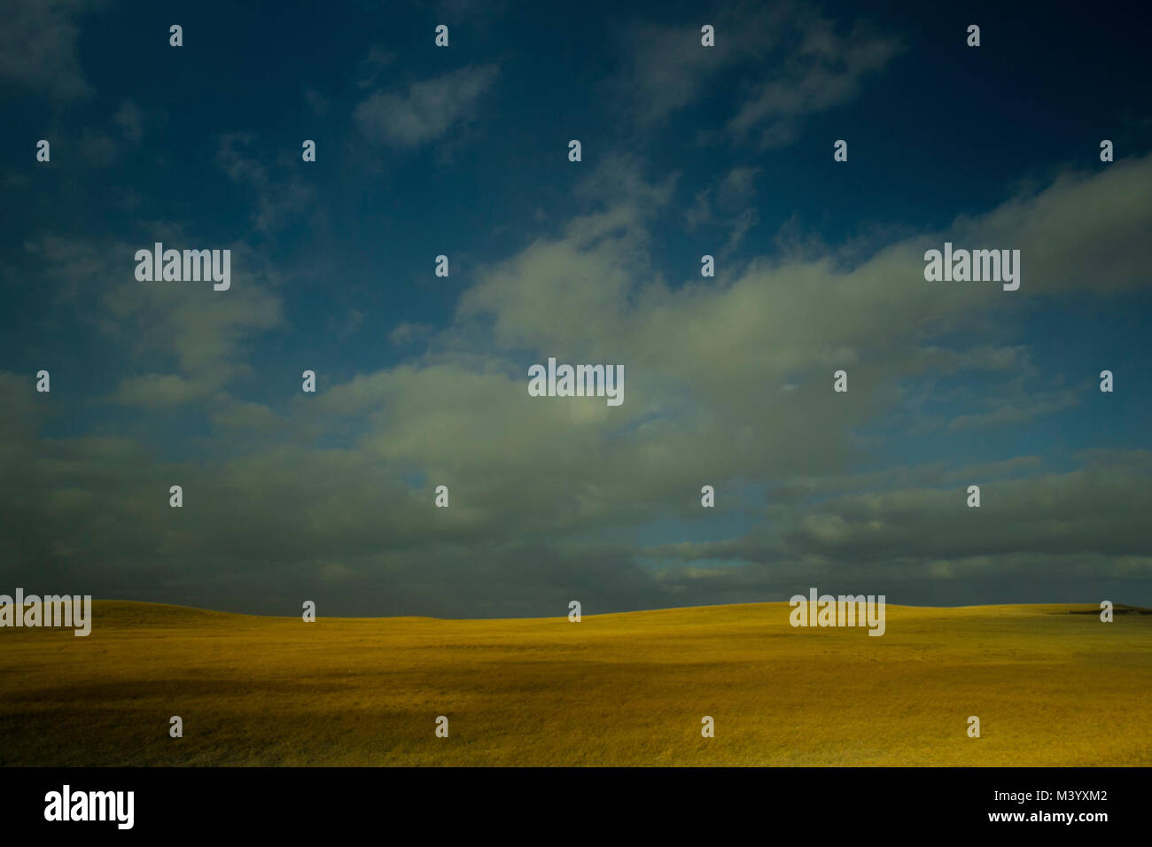 Golden Prairie, Open Sky Stock Photo - Alamy