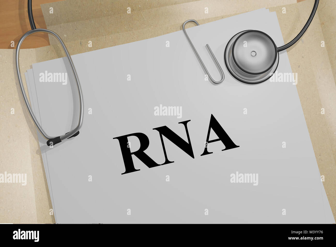 Protein translation process hi-res stock photography and images - Alamy