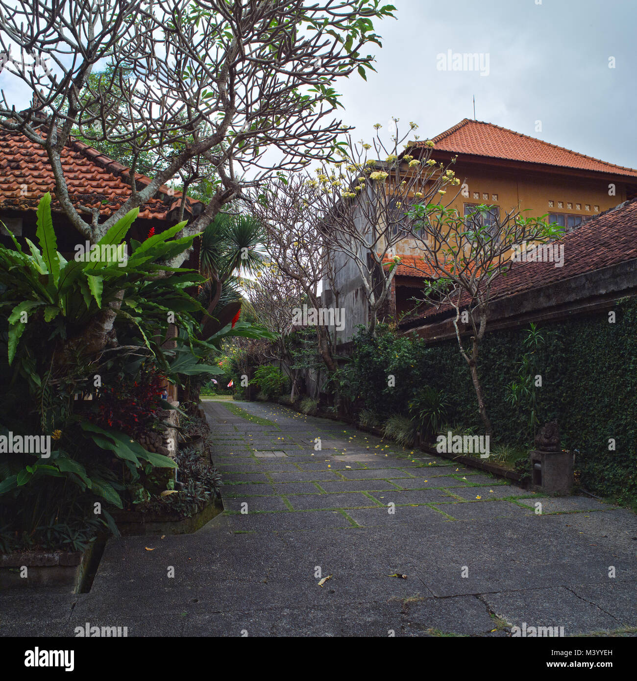 Bali. Indonesia. Rural street with traditional buildings Stock Photo ...