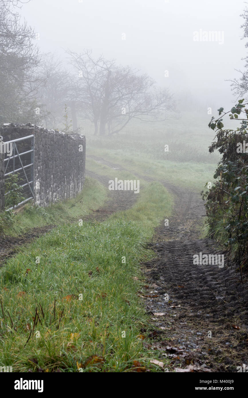 Misty wales hi-res stock photography and images - Alamy