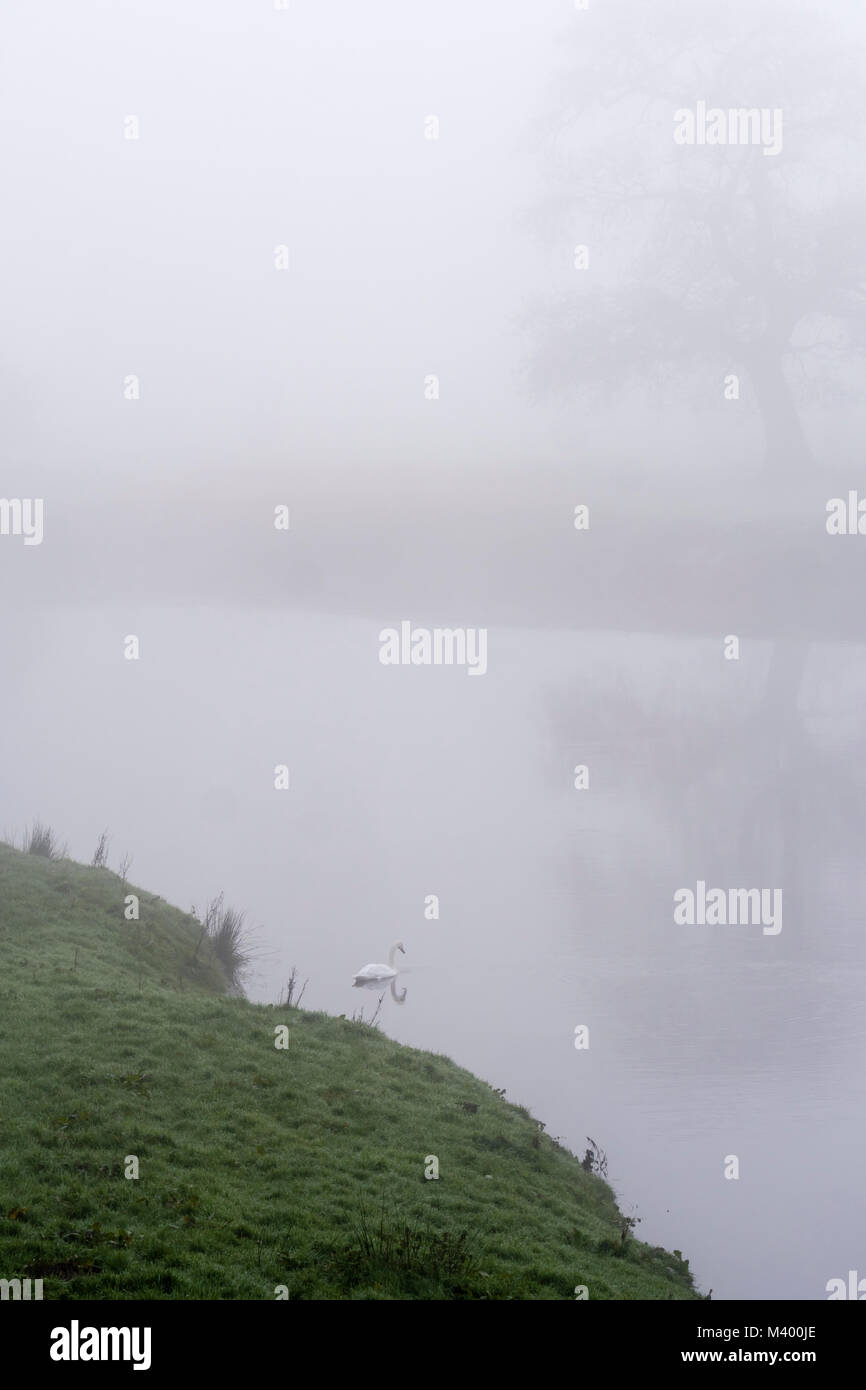 Misty morning Towy Valley Carmarthenshire Wales Stock Photo - Alamy