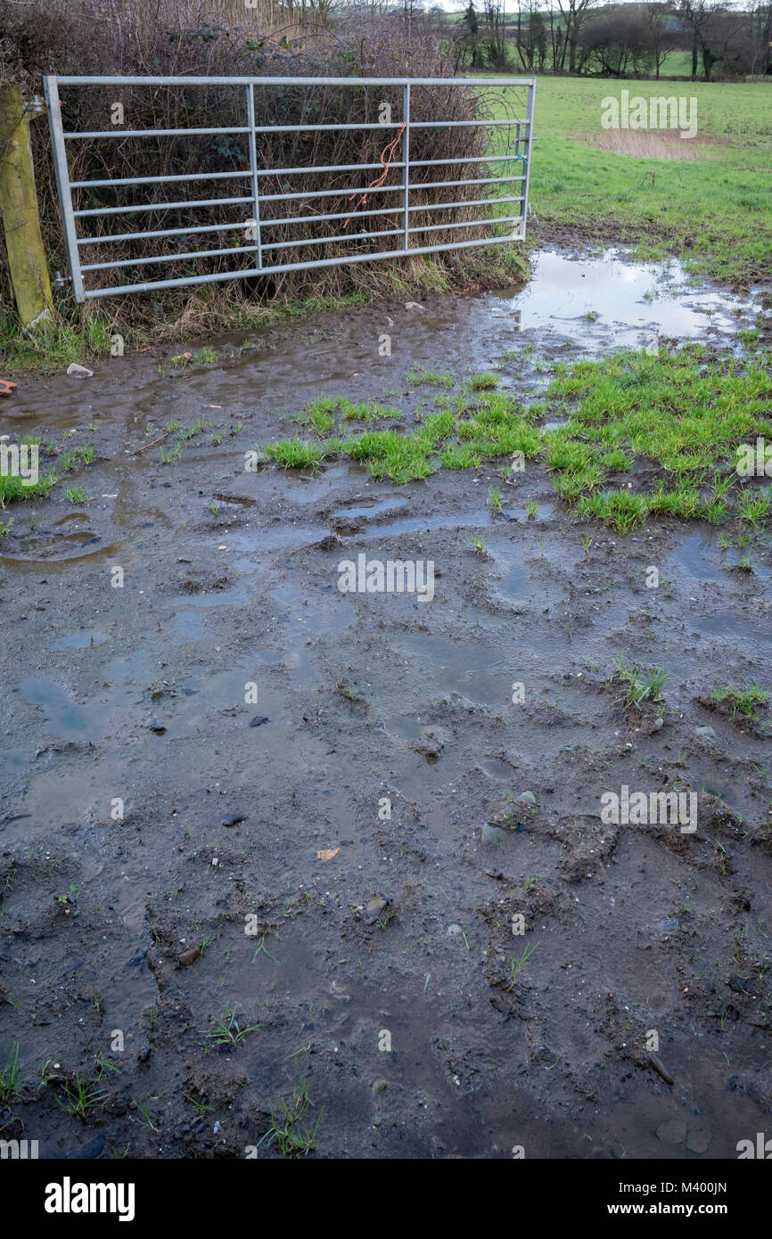 Waterlogged hi-res stock photography and images - Alamy