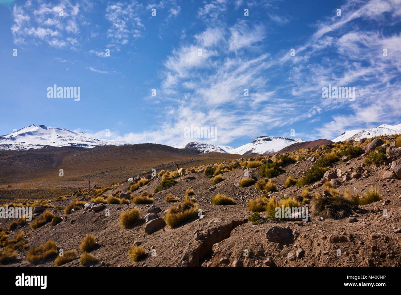 Semi arid terrain hi-res stock photography and images - Alamy