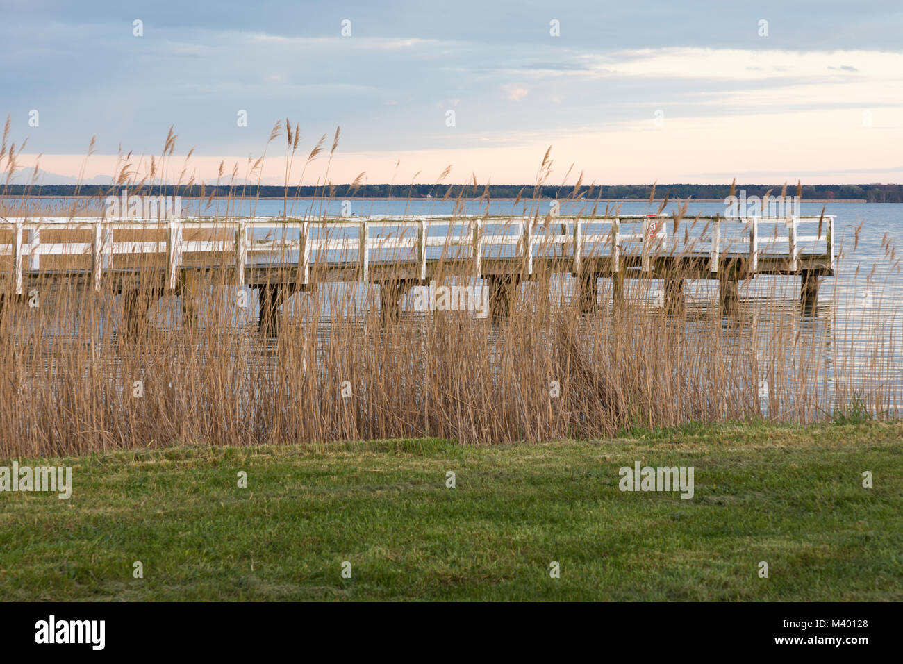 Bodden landscape at Wieck, Germany Stock Photo - Alamy