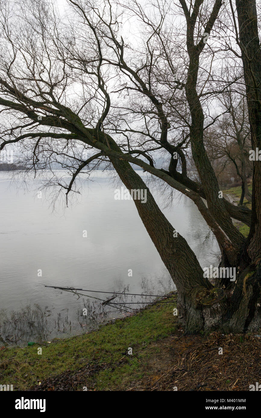 The Danube river at the Danube bend in Domos, Hungary Stock Photo - Alamy