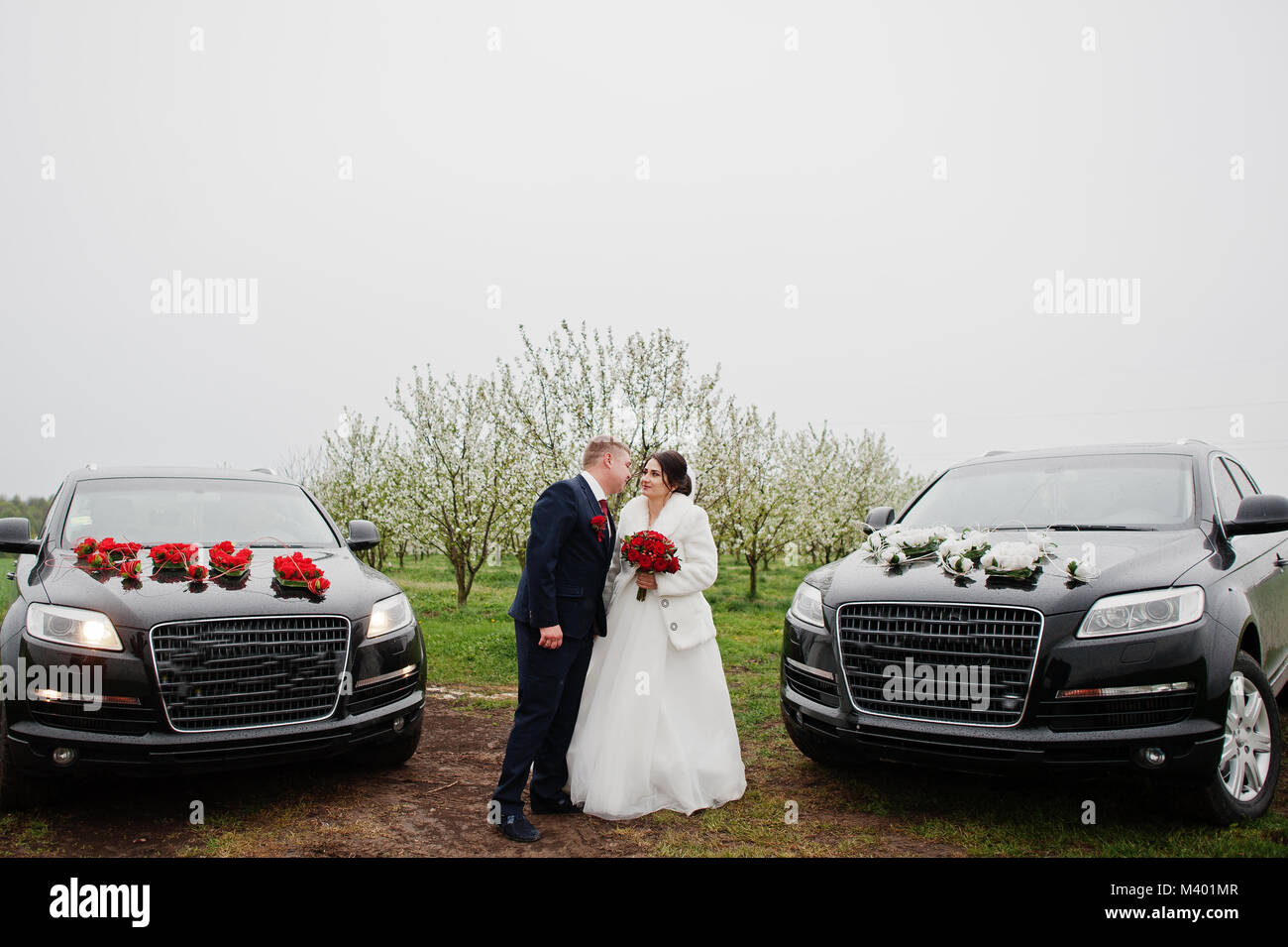 Gorgeous wedding couple posing between two luxurious black wedding SUVs ...