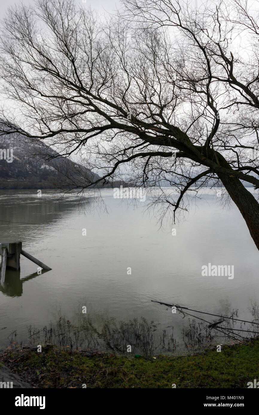The Danube river at the Danube bend in Domos, Hungary Stock Photo - Alamy