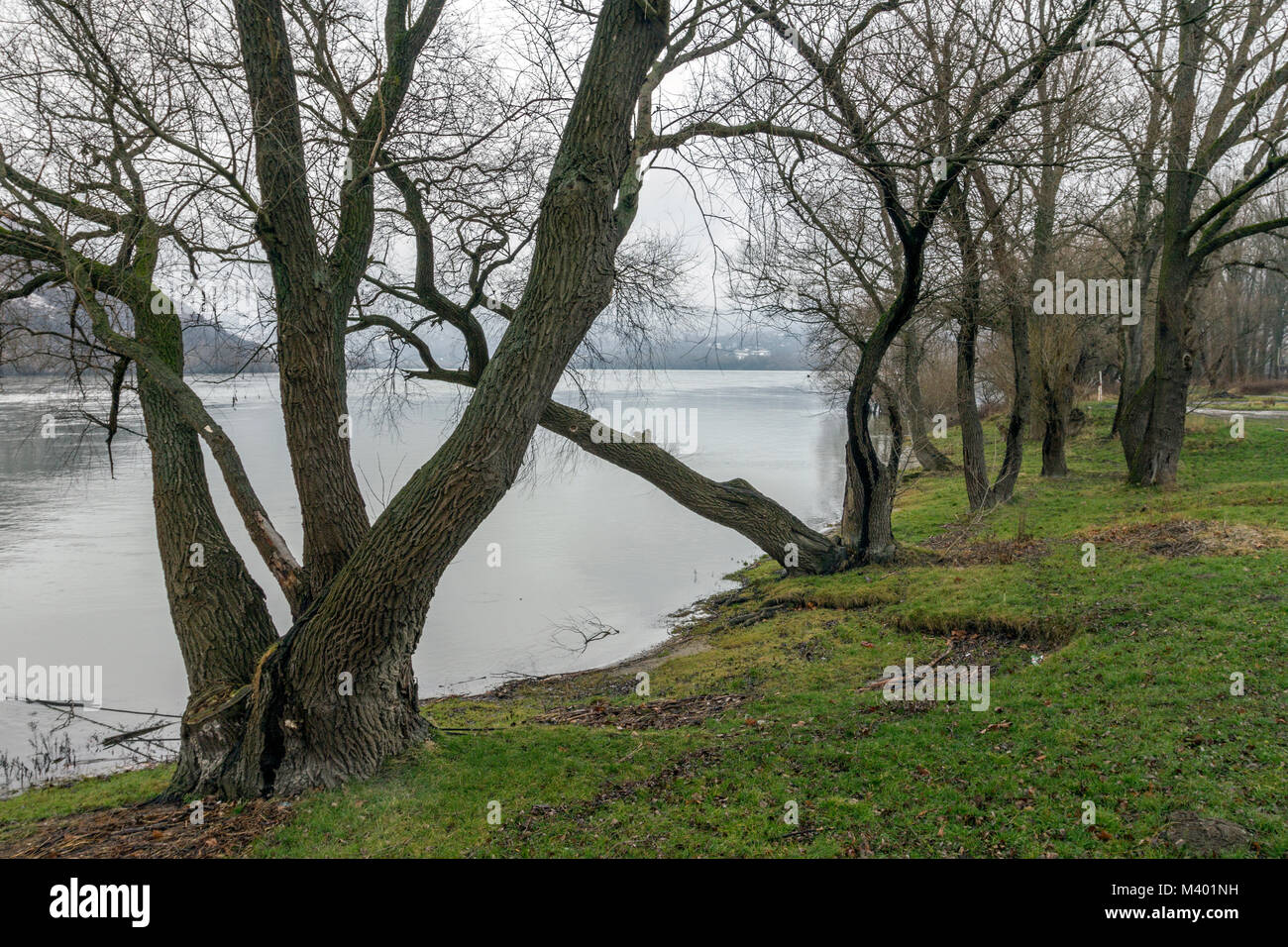 Pilis danube winter hi-res stock photography and images - Alamy