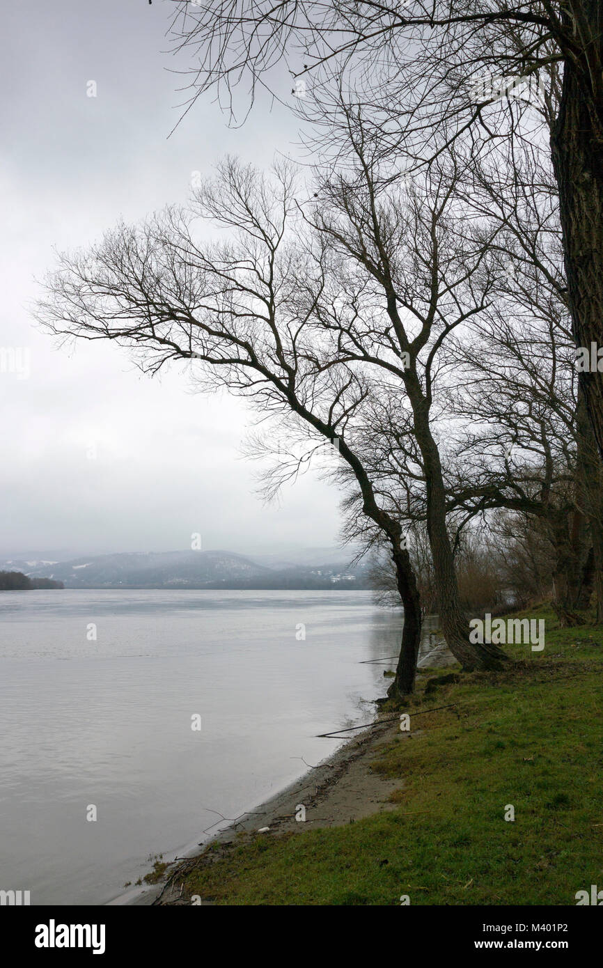 Visegrad hungary danube nature tree hi-res stock photography and images ...