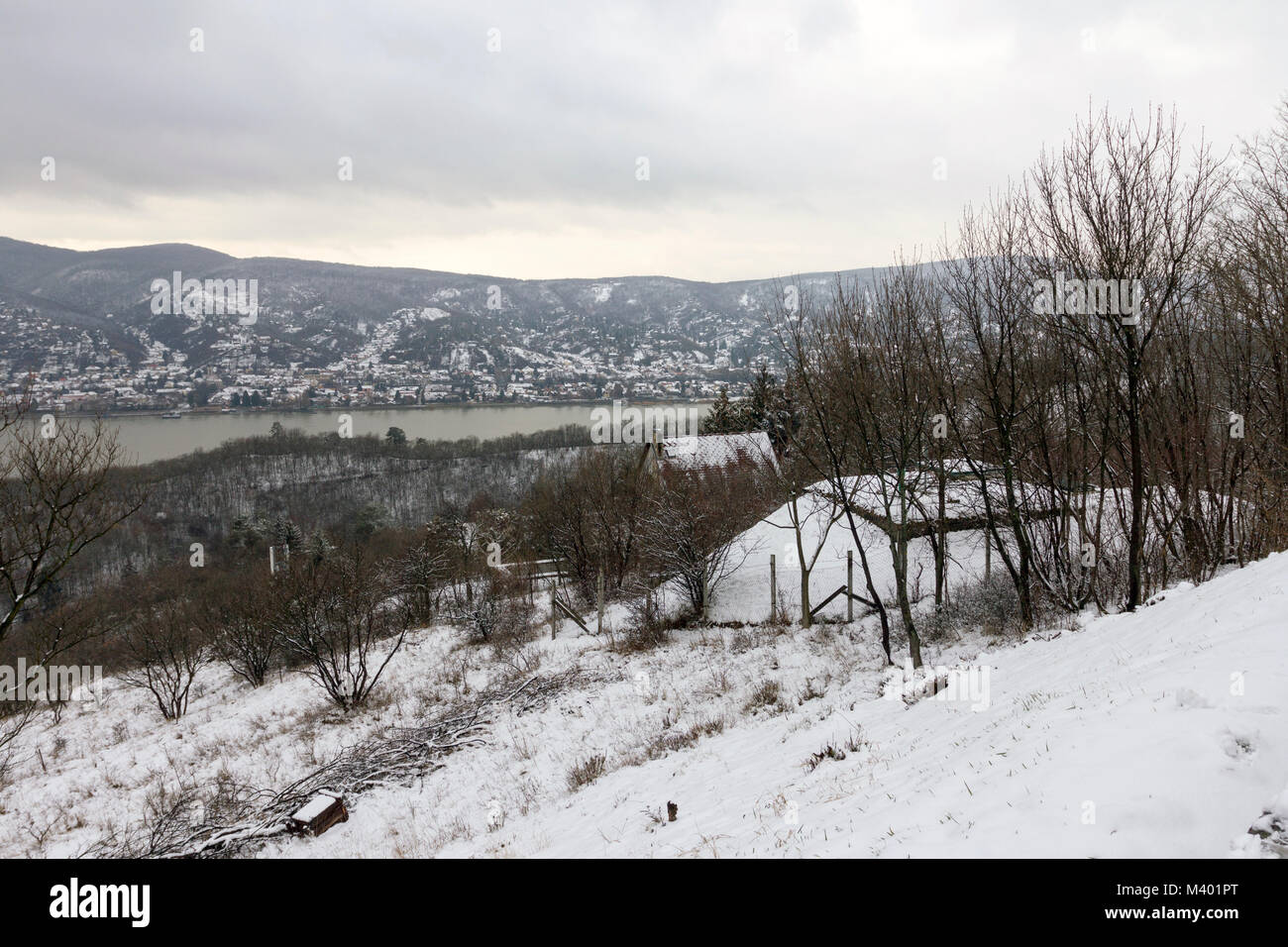 The Danube river at the Danube bend in Domos, Hungary Stock Photo - Alamy