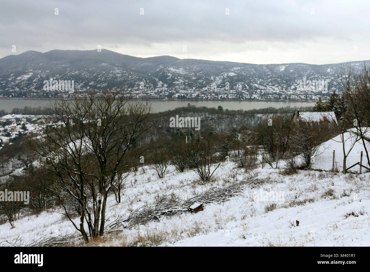 The Danube river at the Danube bend in Domos, Hungary Stock Photo - Alamy