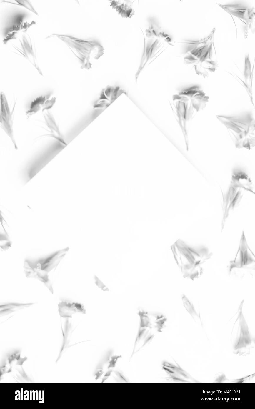 Minimal spring pattern Black and White Stock Photos & Images - Alamy