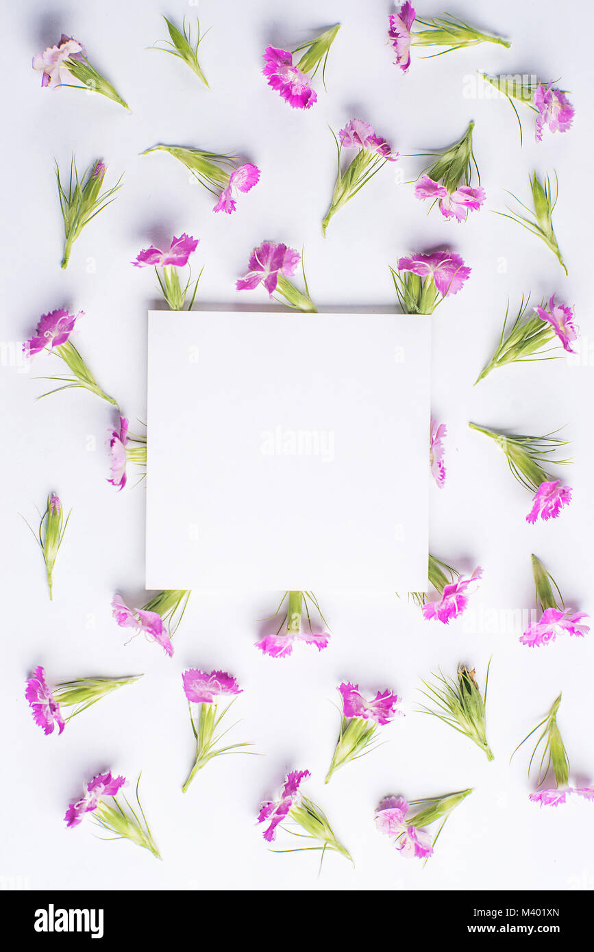 Small flowers on a white background Stock Photo - Alamy