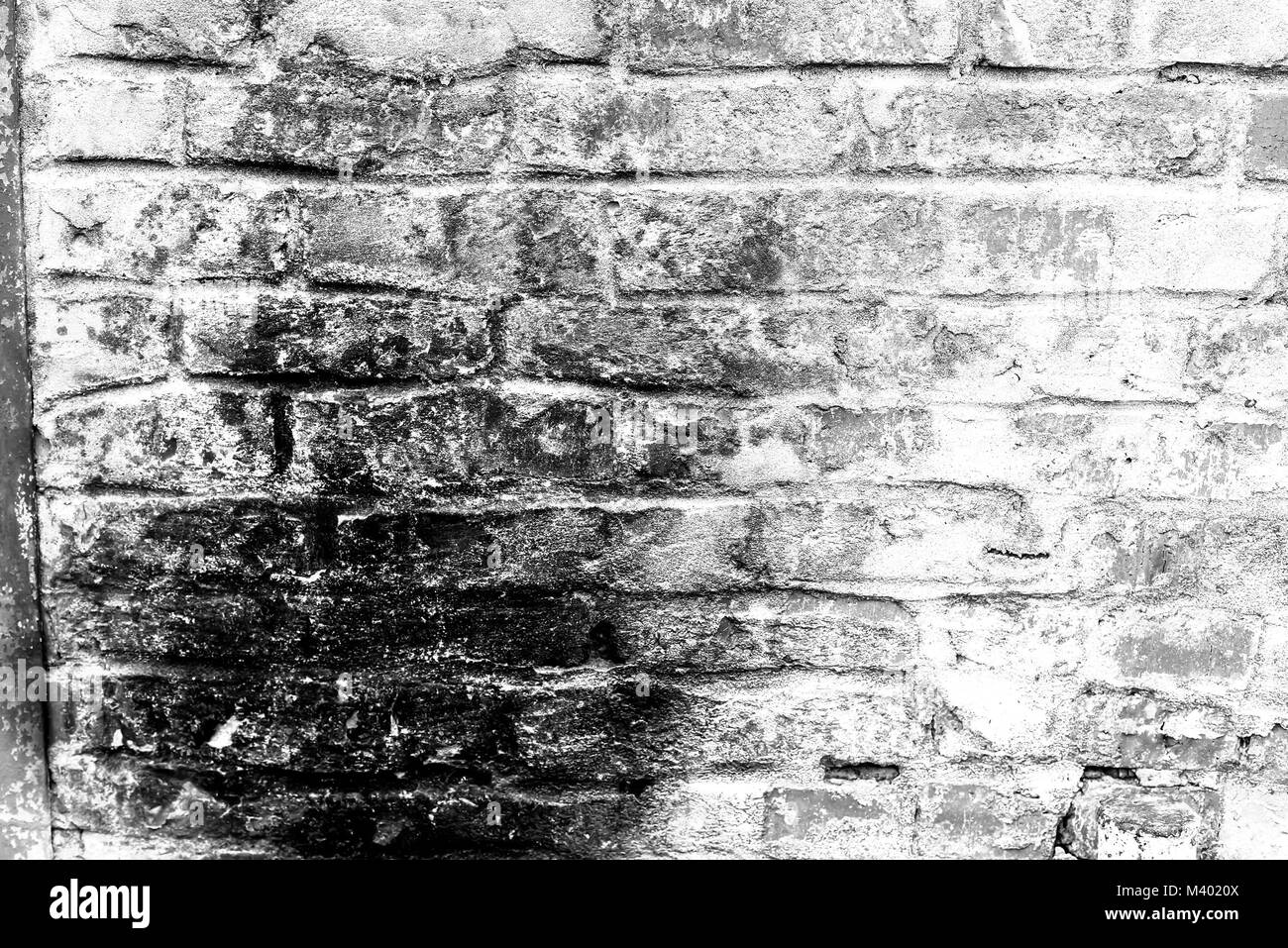 The texture of the metal doors Stock Photo - Alamy