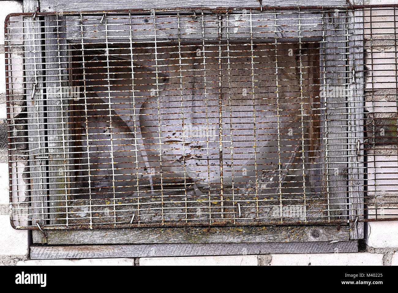 Metal mesh on the window Stock Photo - Alamy