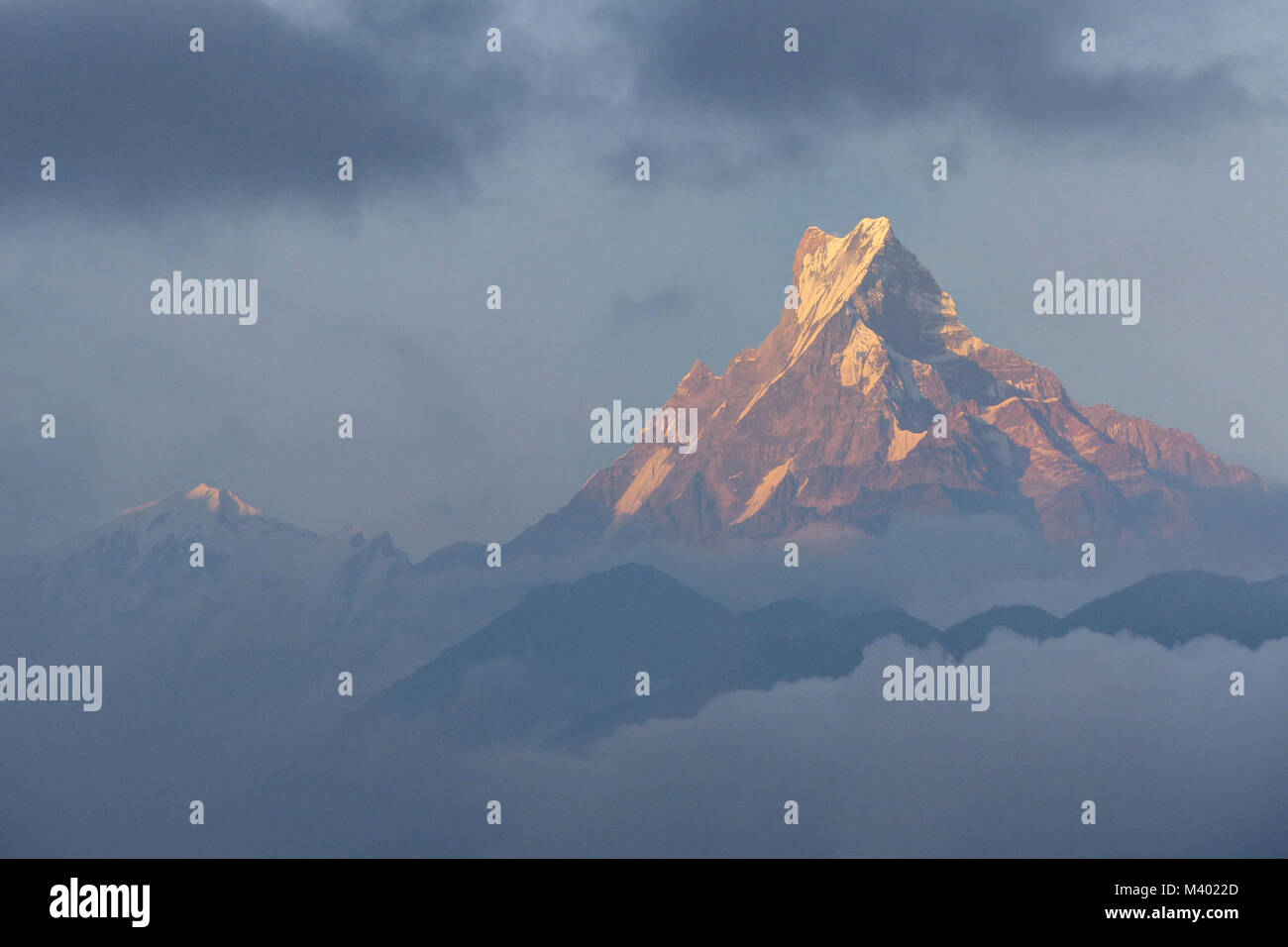 Mount Machhapuchchhre in evening soft sun light, Fish Tail mountain ...