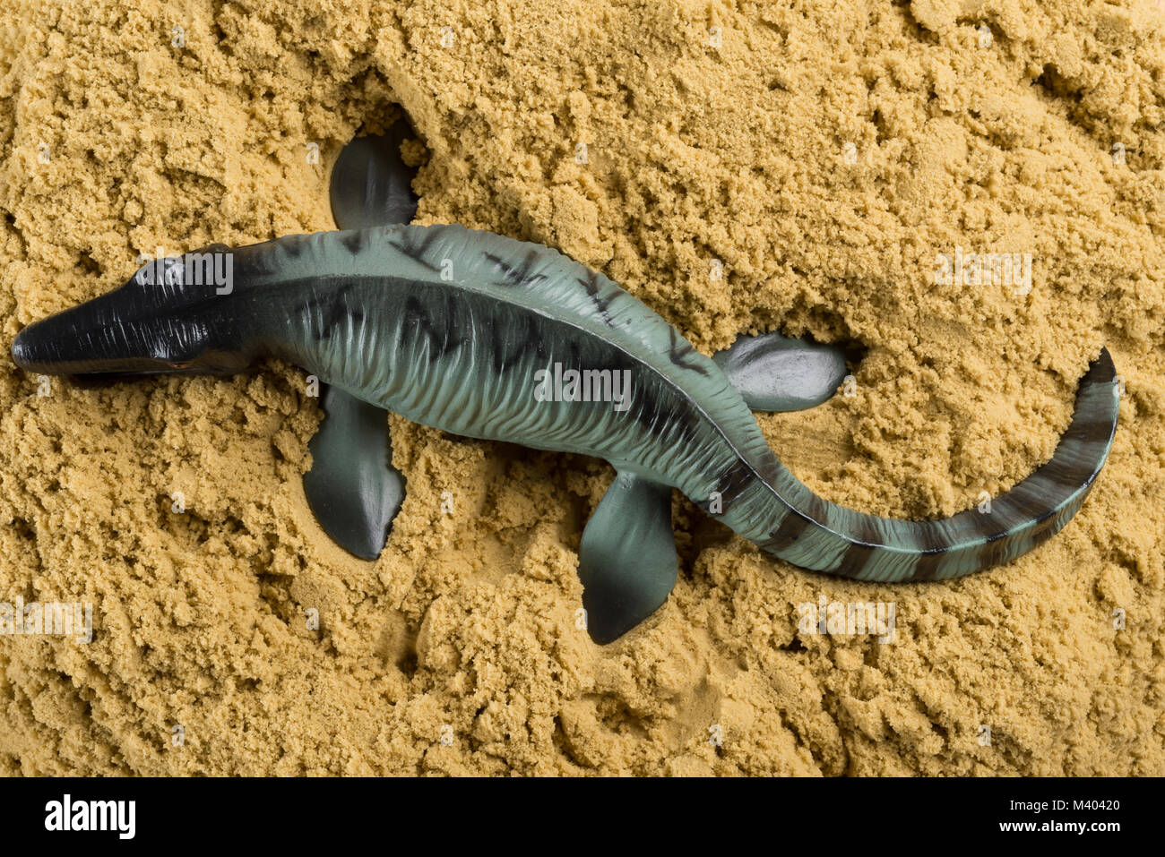 Mosasaurus dinosaur hi-res stock photography and images - Alamy