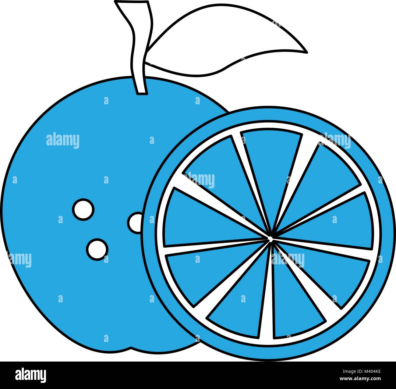 Orange citric fruit Stock Vector Image & Art - Alamy