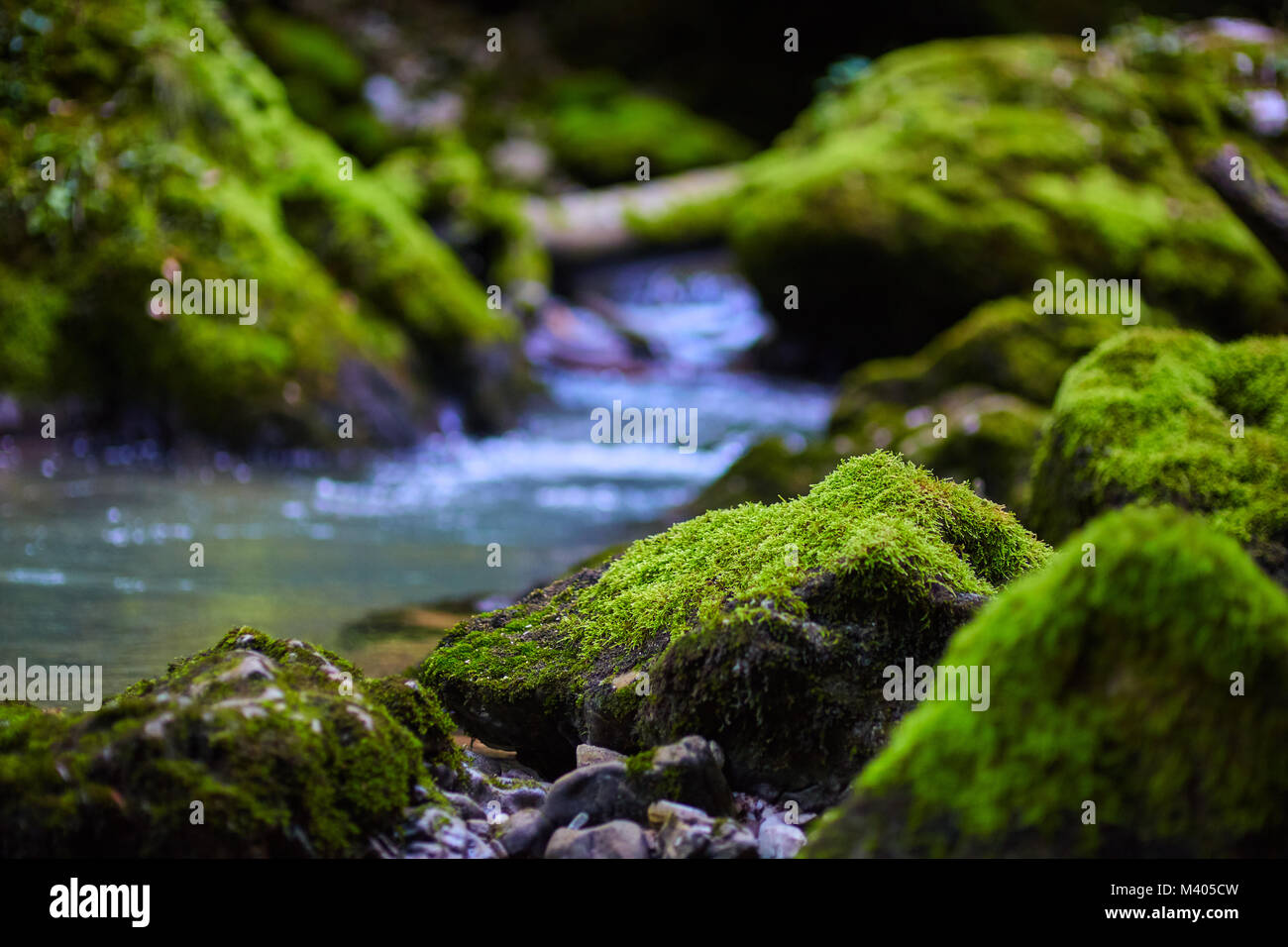 Landscape with shallow depth of field of boulders with moss in a river ...