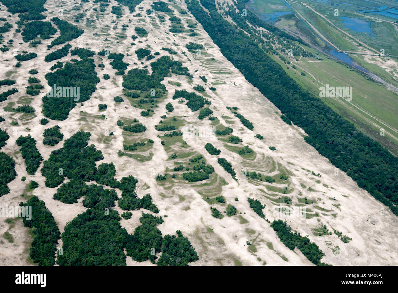 Aerial View Over Letea Forest in the Danube Delta, Romania, the forest ...