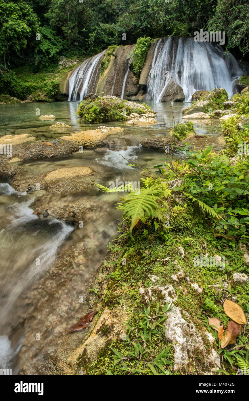 St elizabeth jamaica hi-res stock photography and images - Alamy