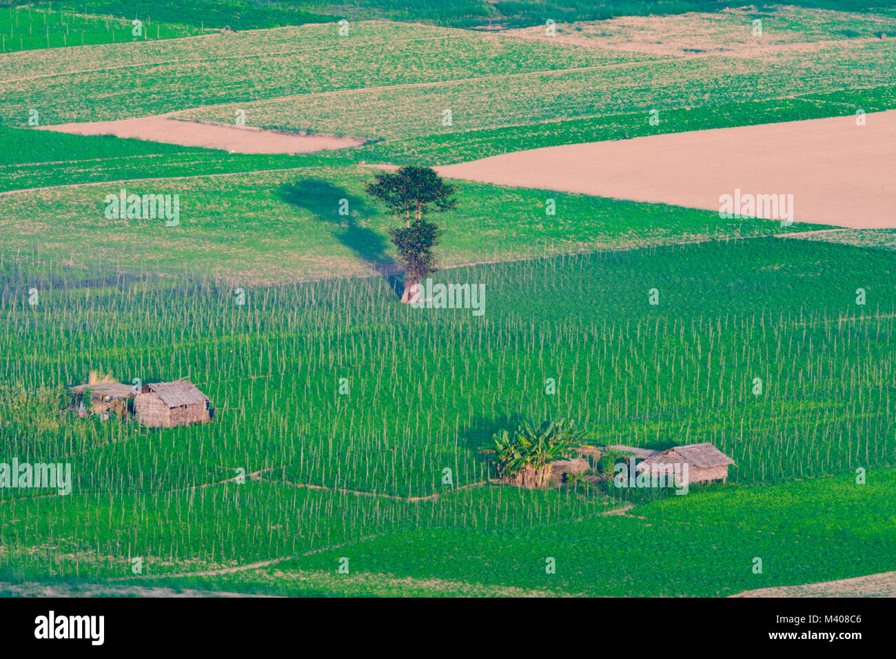 Hpa-An: field, farm house, , Kayin (Karen) State, Myanmar (Burma Stock ...