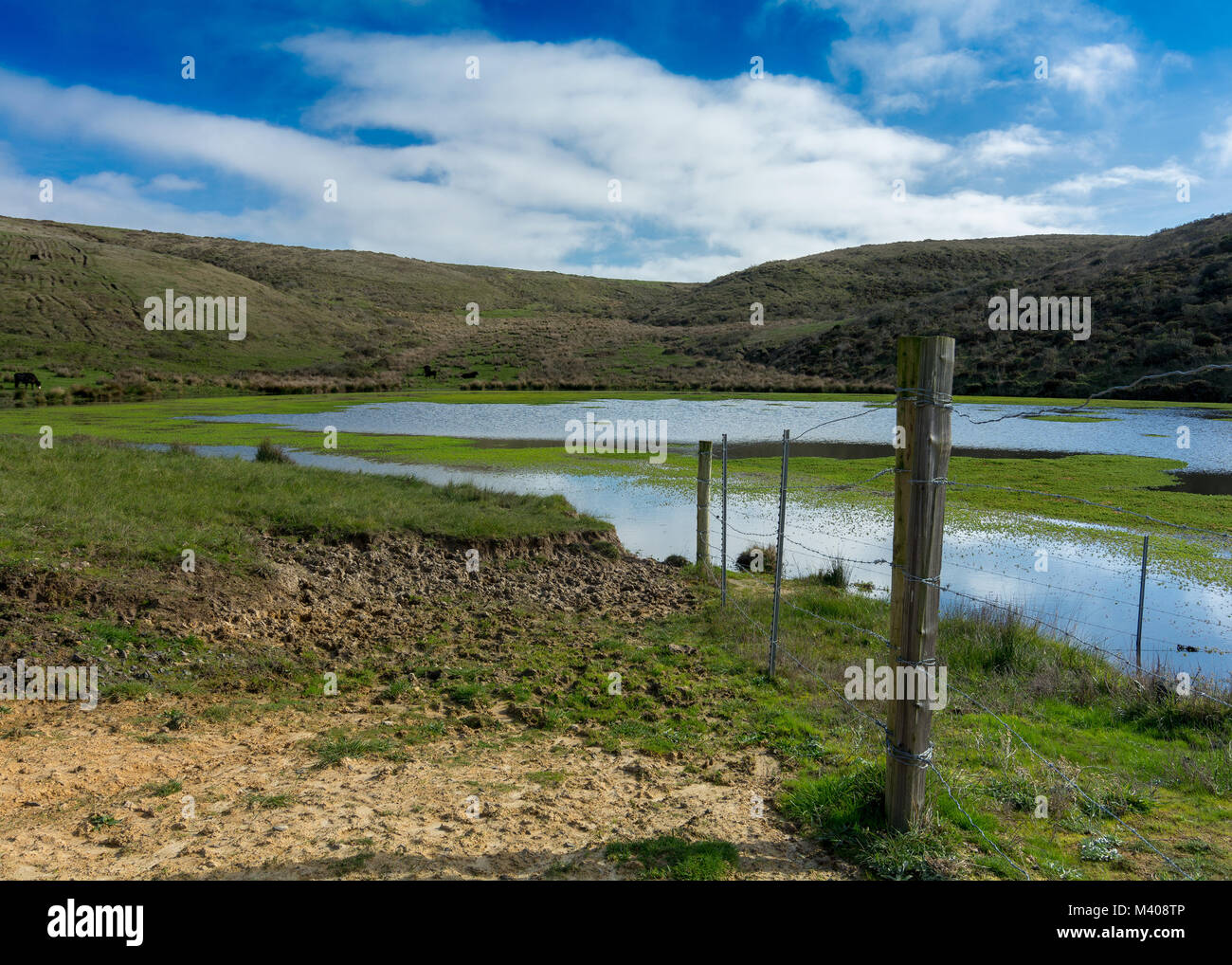 View of an estuary along the Estero Trail, Point Reyes National ...
