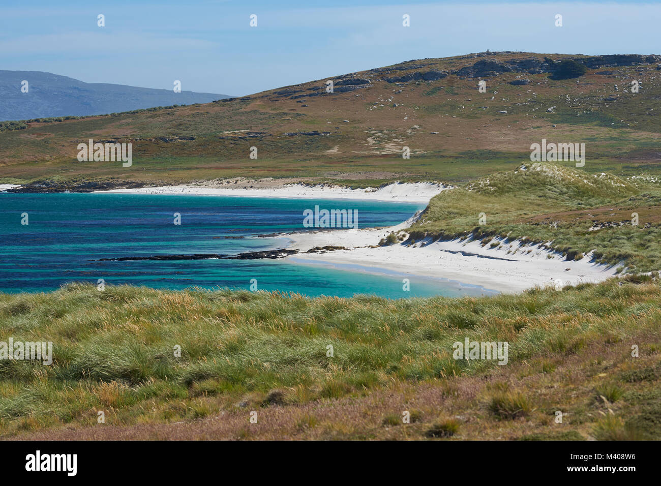White sands and blue waters of Leopard Beach on Carcass Island in the ...