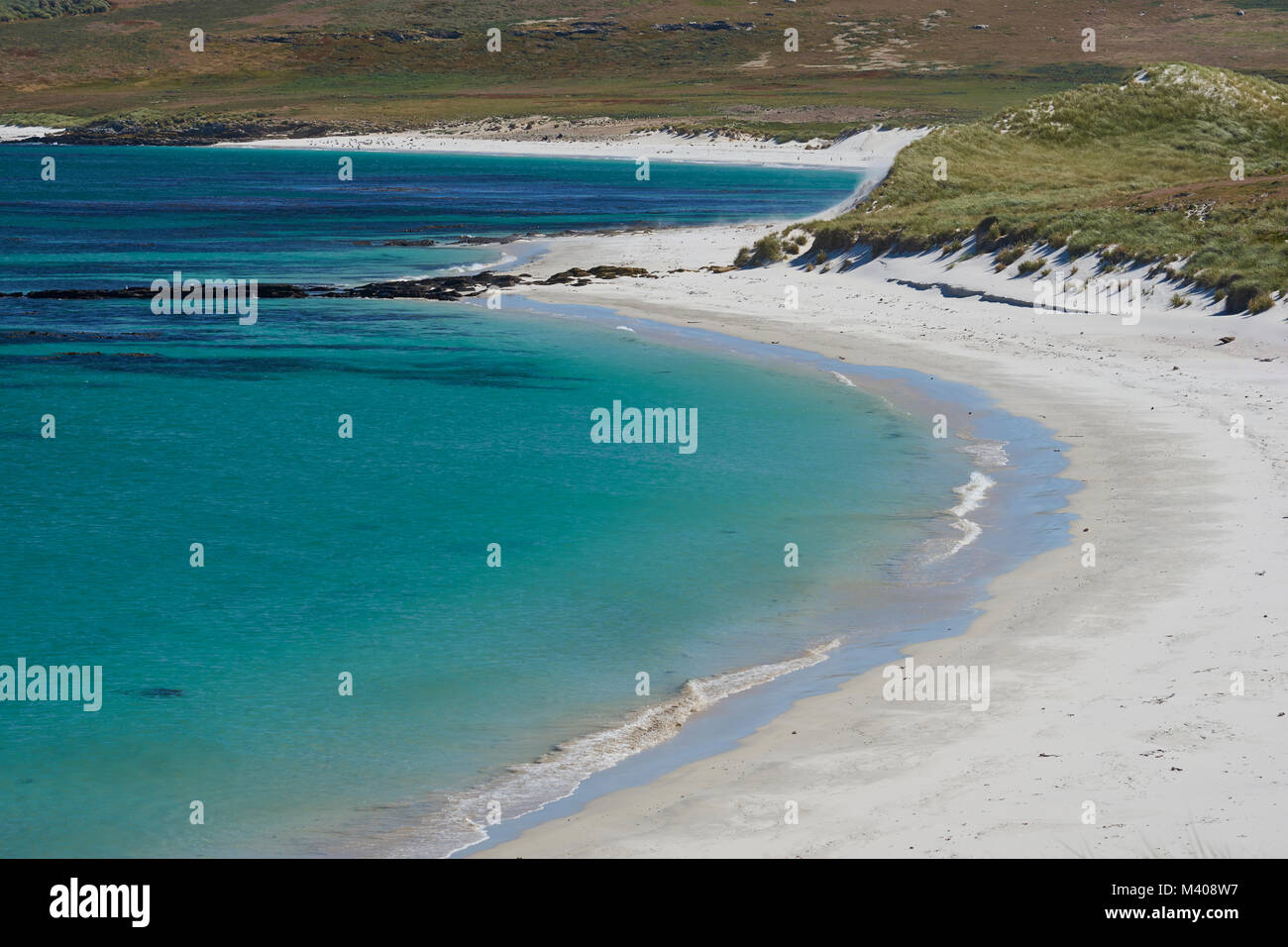 White sands and blue waters of Leopard Beach on Carcass Island in the ...