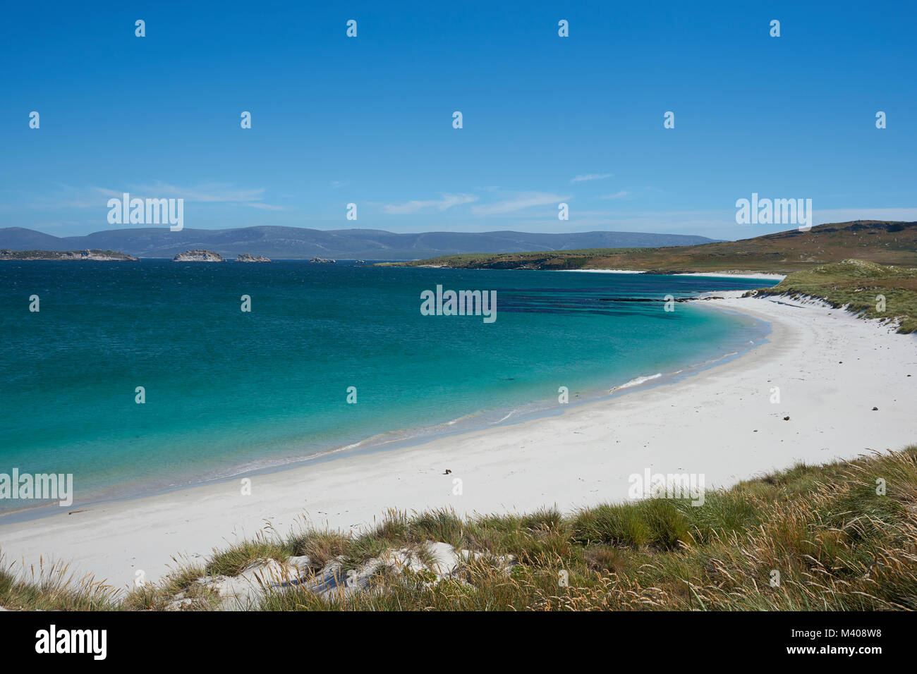 White sands and blue waters of Leopard Beach on Carcass Island in the ...