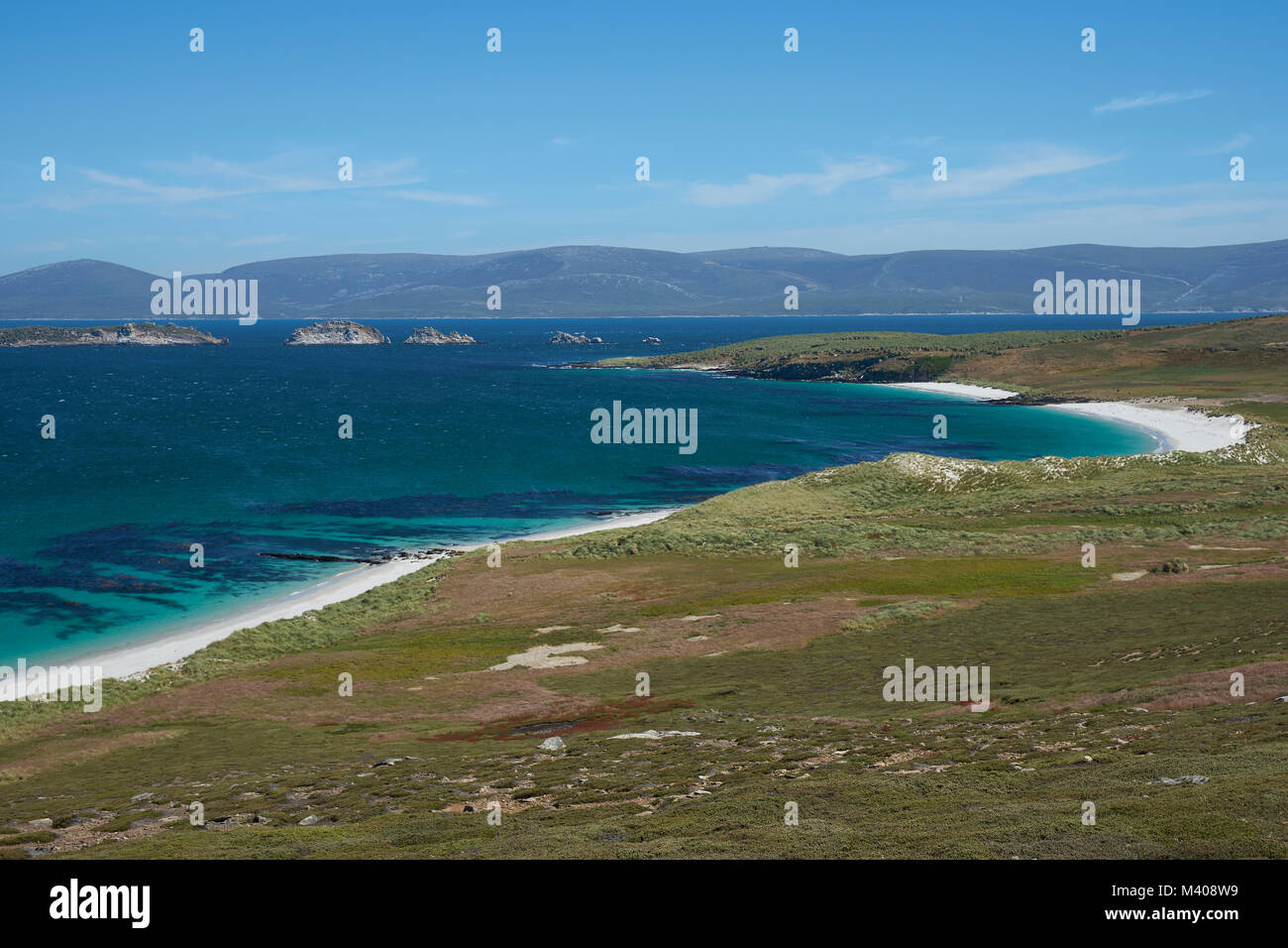 White sands and blue waters of Leopard Beach on Carcass Island in the ...