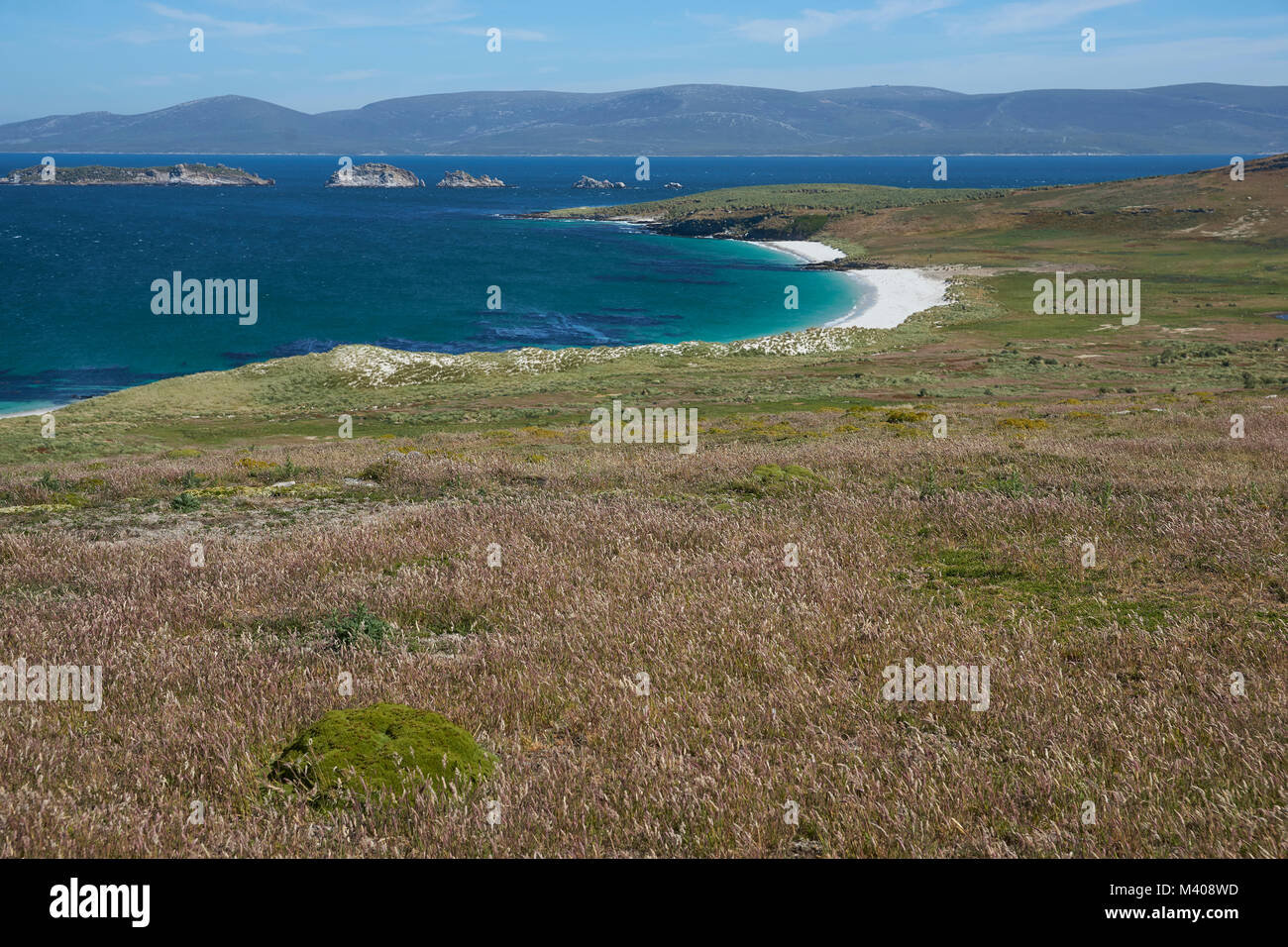 White sands and blue waters of Leopard Beach on Carcass Island in the ...