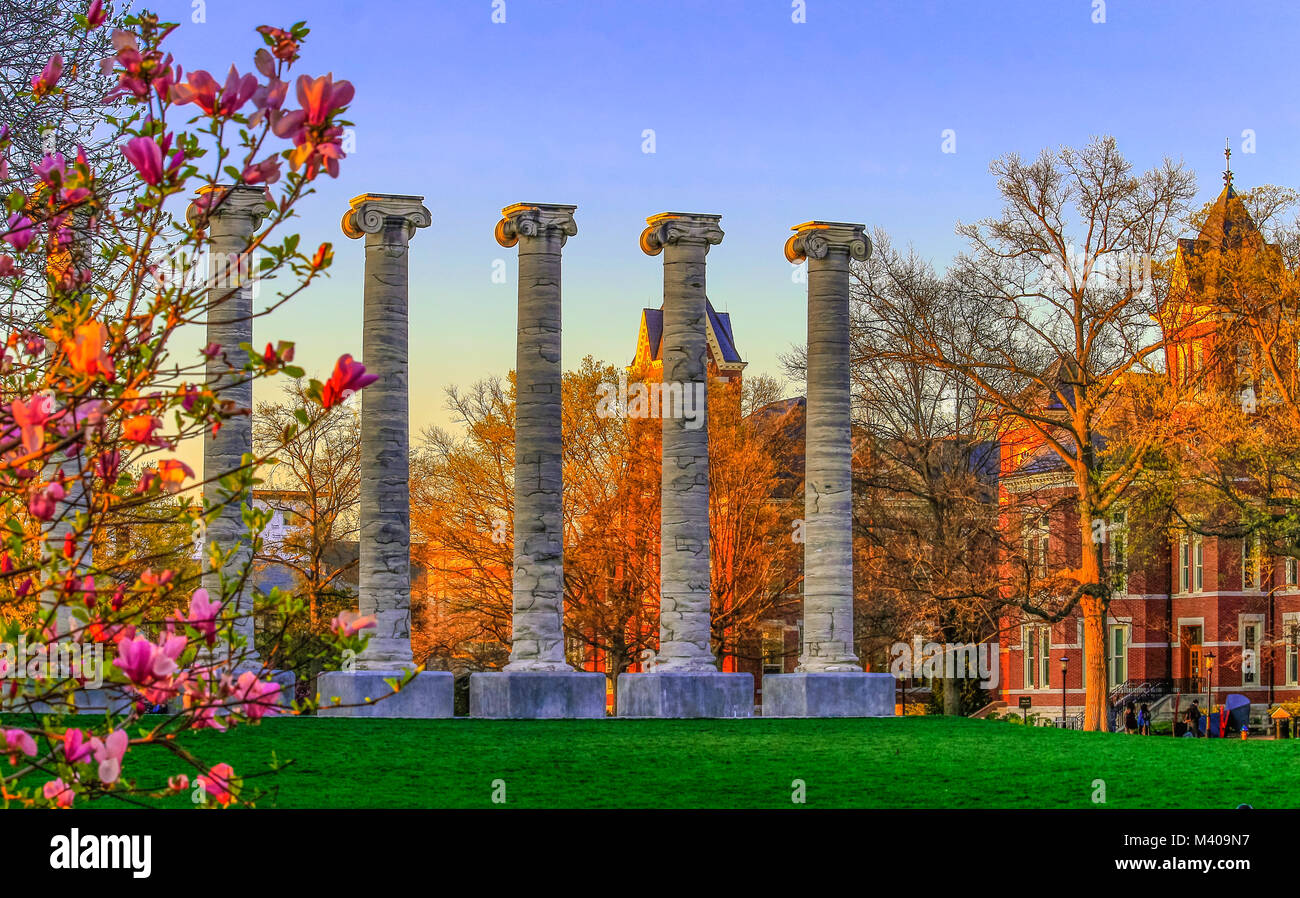 Columbia Mizzou Background