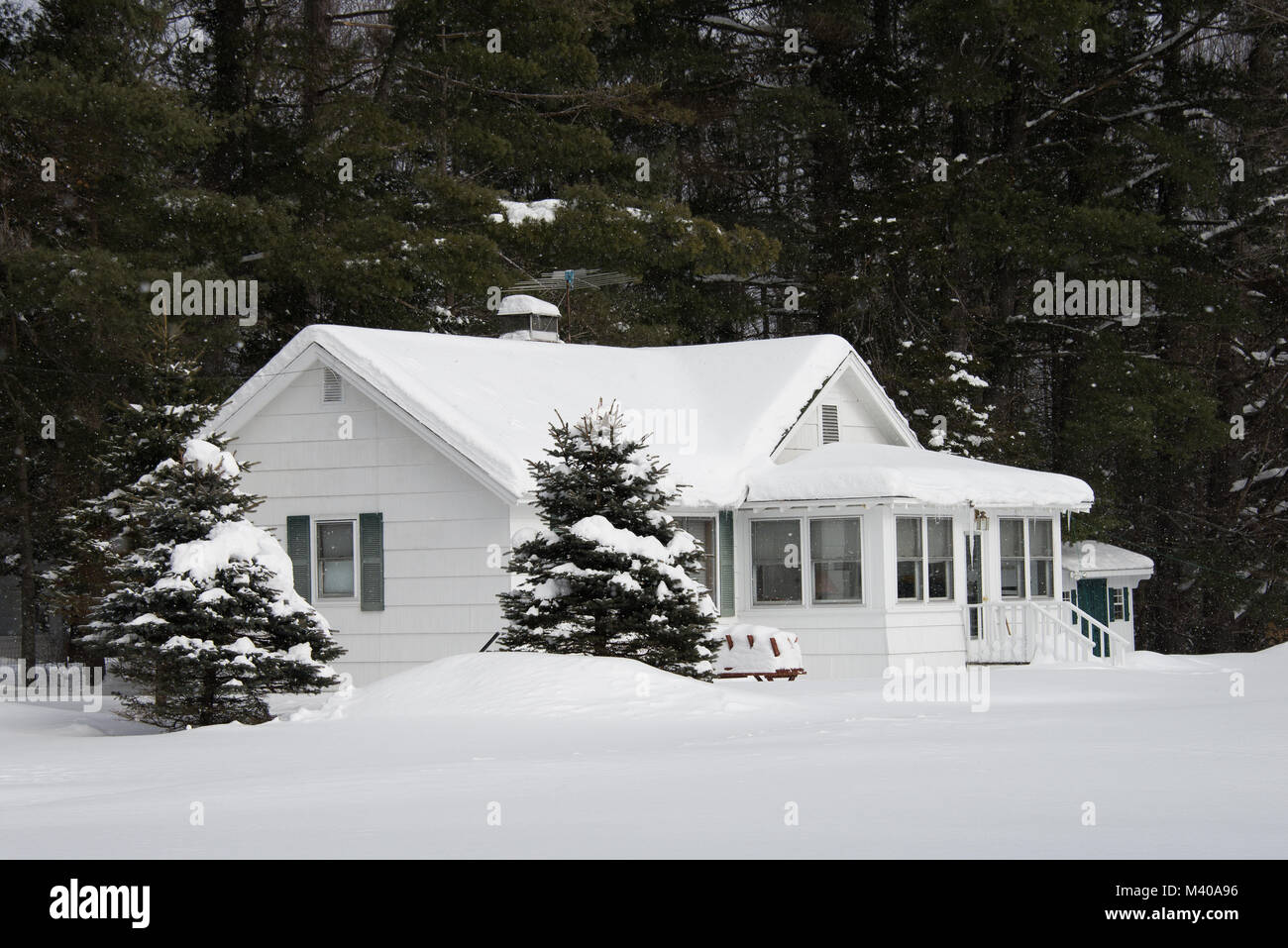 Evergreen house exterior hi-res stock photography and images - Alamy