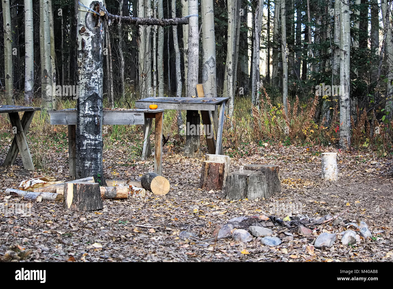 Tables and poles setup at a popular hunting camp spot Stock Photo - Alamy