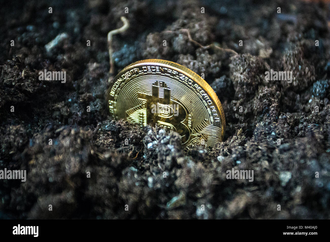 Symbolic golden coin of bitcoin crypto currency growing in soil Stock ...