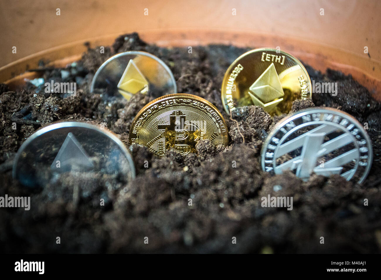Symbolic golden coin of bitcoin crypto currency growing in soil Stock ...